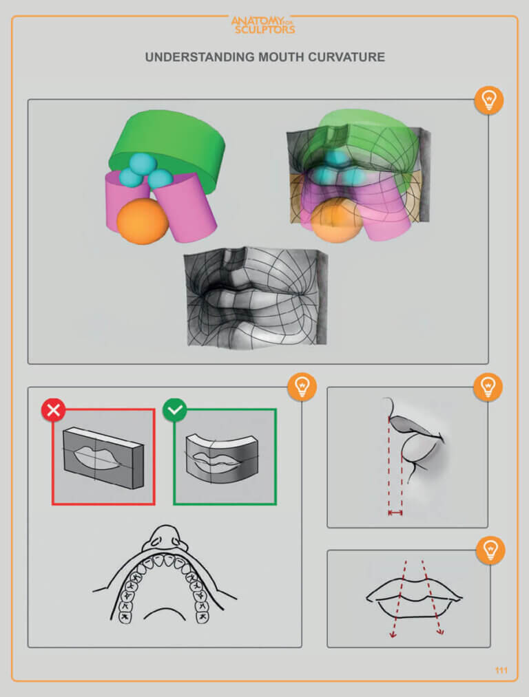 Understanding the Human Figure | by Anatomy For Sculptors