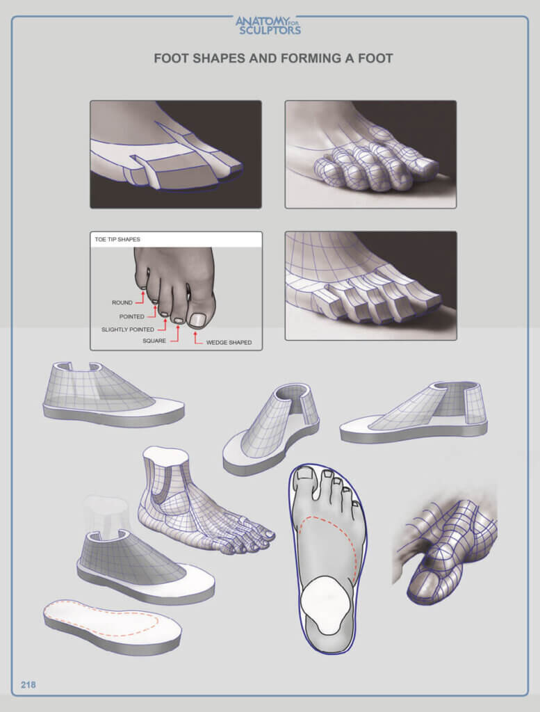Understanding the Human Figure | by Anatomy For Sculptors