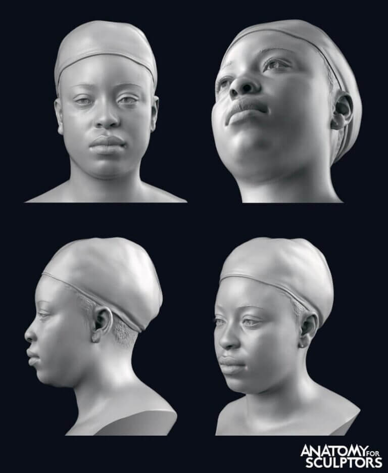 The elements of art form | by Anatomy For Sculptors