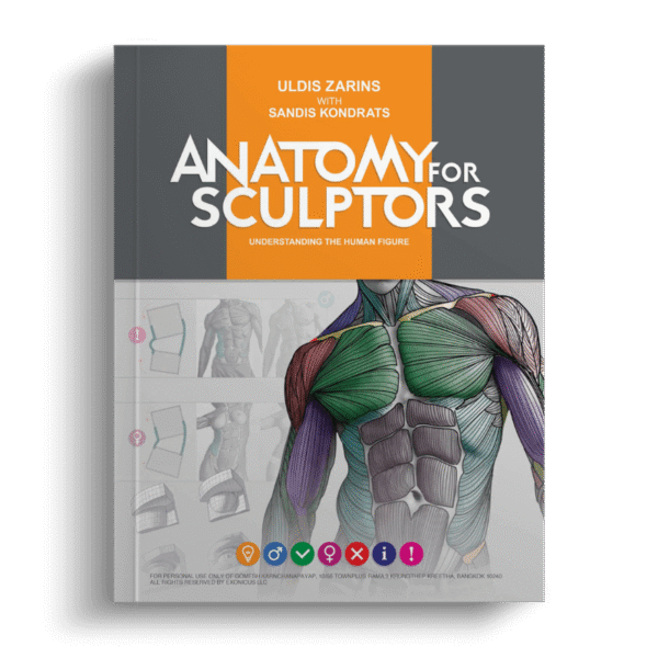 Anatomy For Sculptors Anatomy Book Series For Artists
