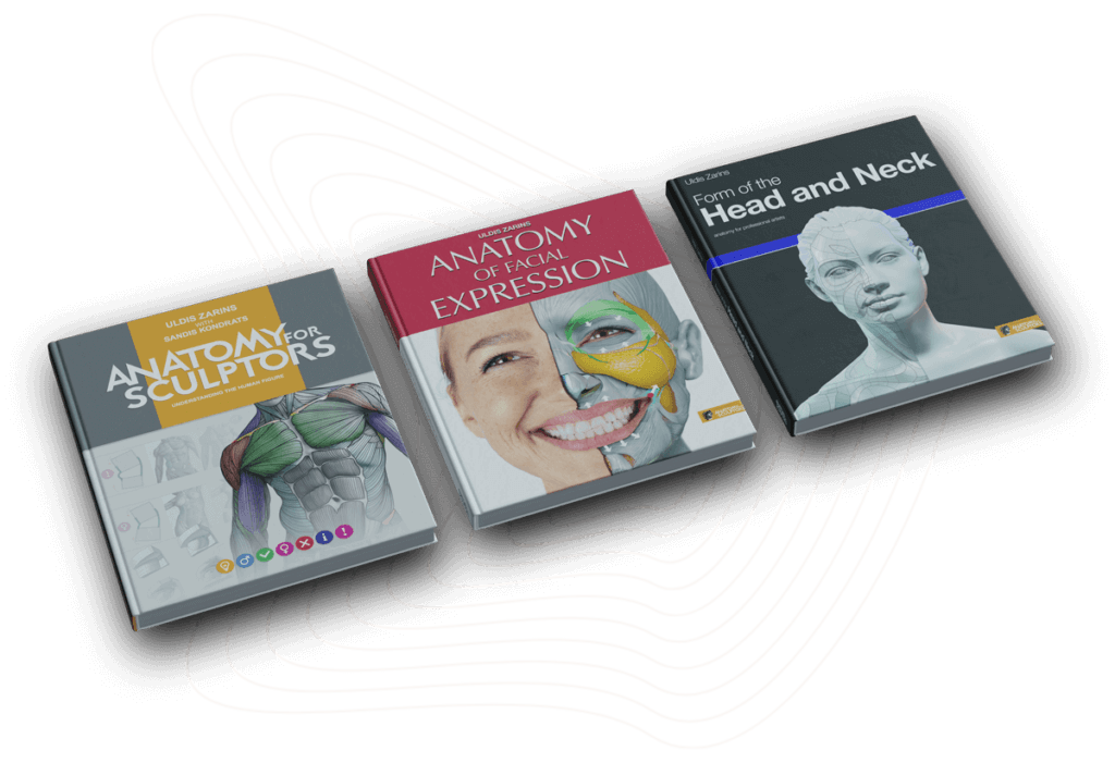 Anatomy For Sculptors | Anatomy Book Series For Artists