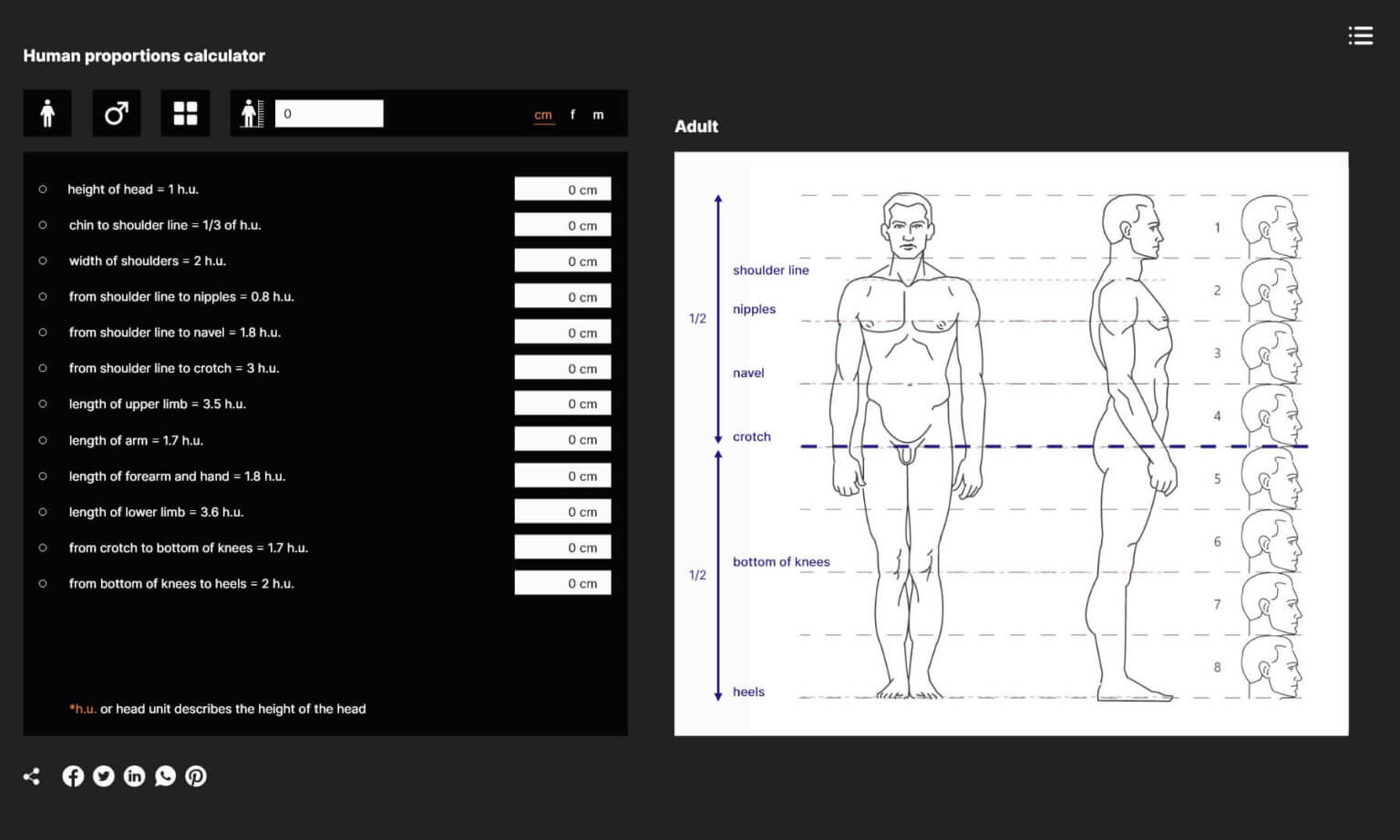 Butt bones and body proportions | Anatomy For Sculptors