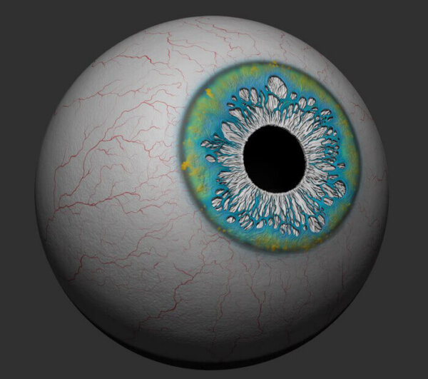 Realistic human 3D model: the eye | Anatomy For Sculptors