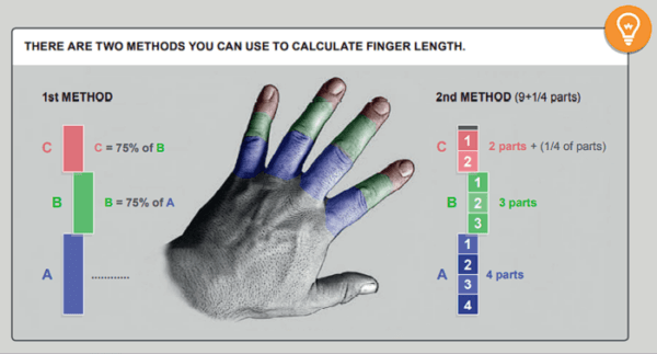 Hand anatomy for artists | Anatomy For Sculptors