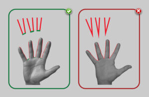 Hand anatomy for artists | Anatomy For Sculptors