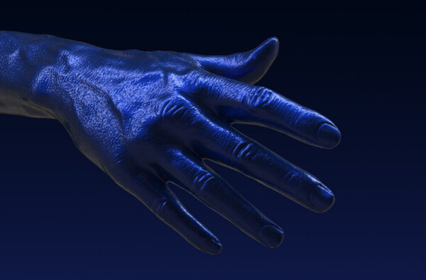Realistic hand: tendons, veins, fat, and more | Anatomy For Sculptors