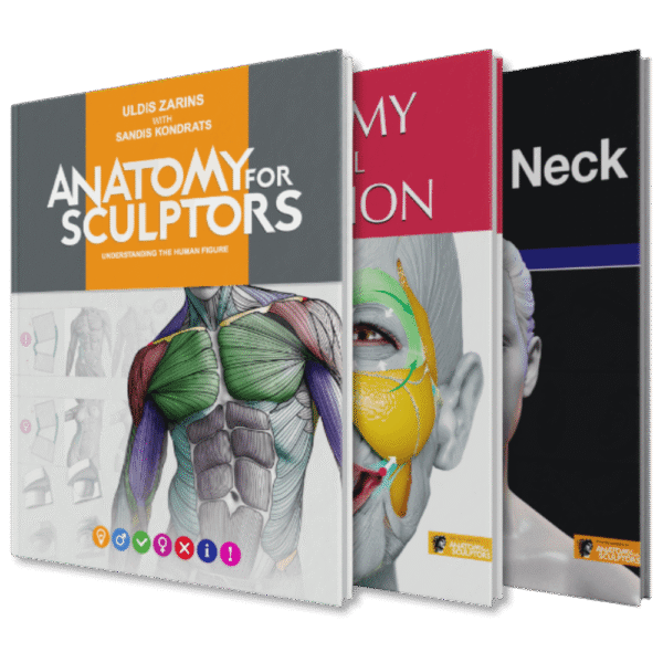 Anatomy For Sculptors Anatomy Book Series For Artists