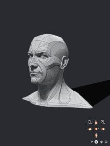 3D Reference Tool Premium | by Anatomy For Sculptors