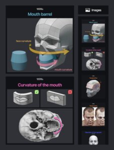 3D Reference Tool Premium | by Anatomy For Sculptors