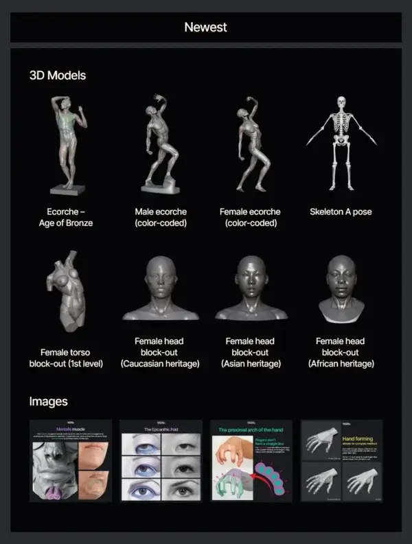 3D Reference Tool Premium | by Anatomy For Sculptors