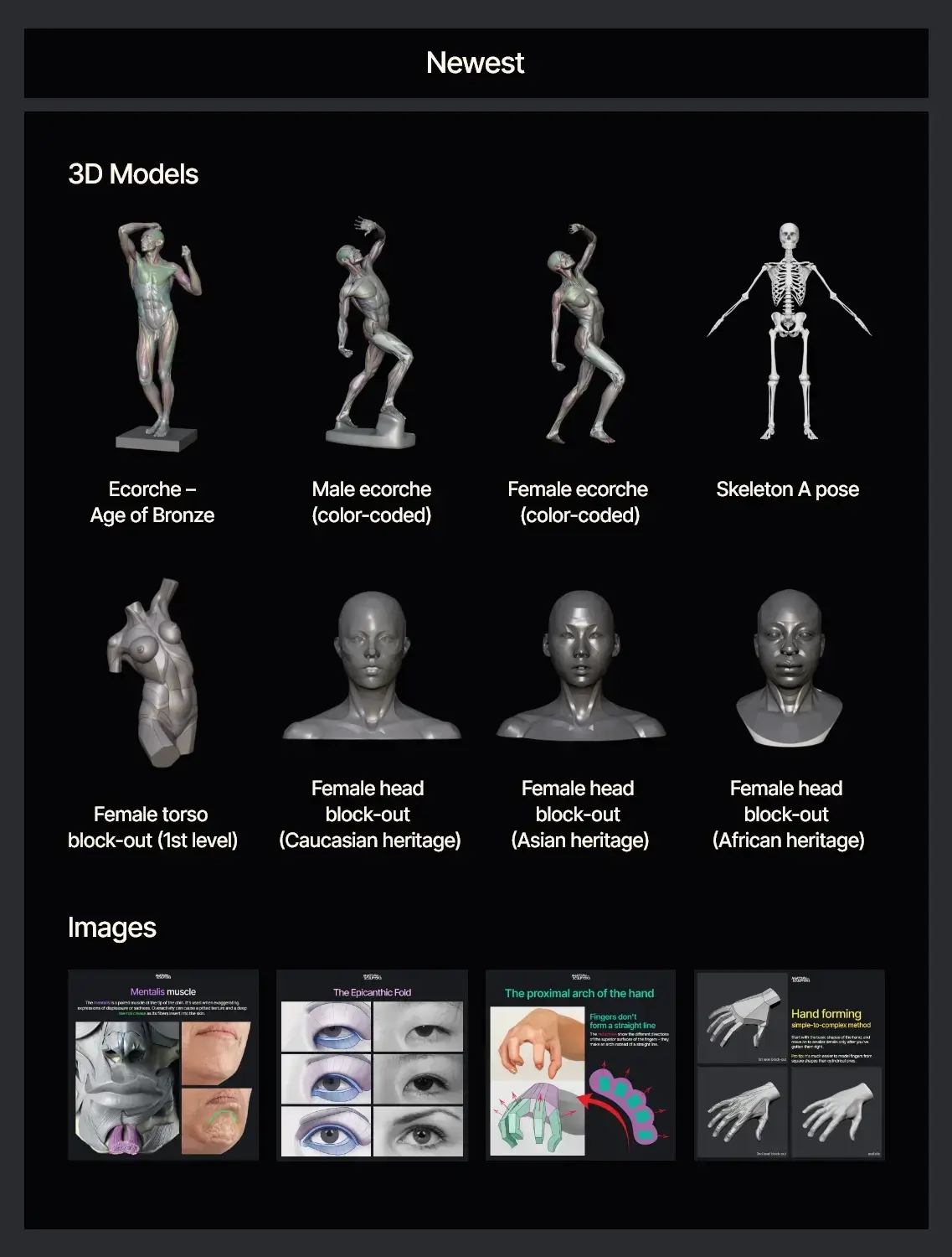 3D Reference Tool Premium | by Anatomy For Sculptors
