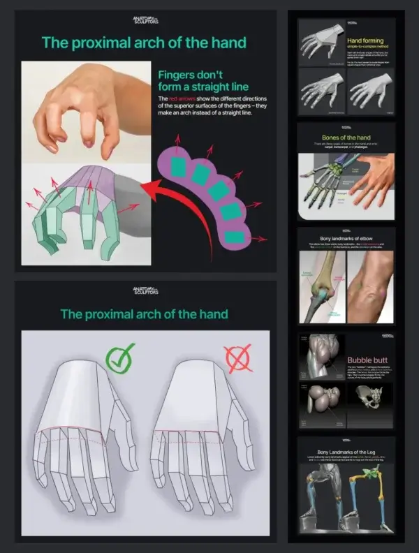 3D Reference Tool Premium | by Anatomy For Sculptors