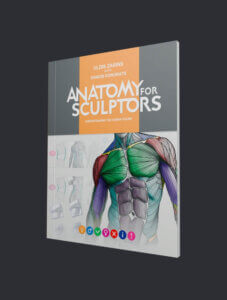 Understanding the Human Figure | by Anatomy For Sculptors
