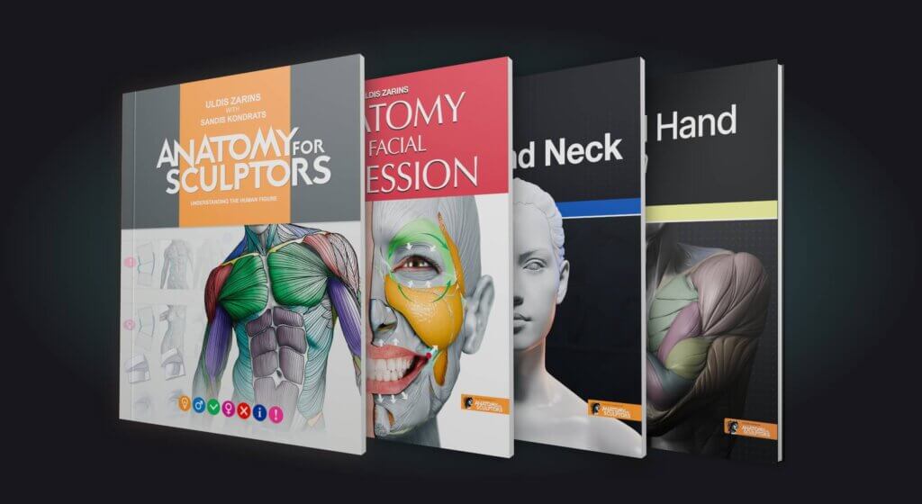 Anatomy For The Artist New Book: Basic Anatomy Every Artist Should