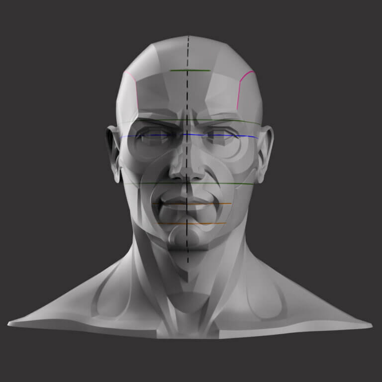 Forming the Head: Simple to Complex | Anatomy For Sculptors
