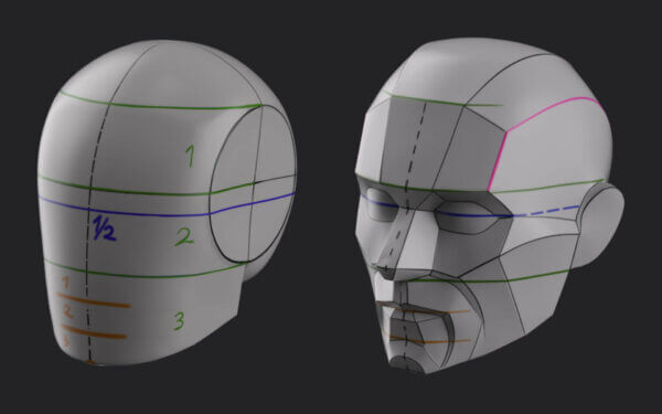 Forming the Head: Simple to Complex | Anatomy For Sculptors