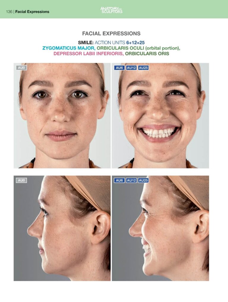 Anatomy of Facial Expression | by Anatomy For Sculptors