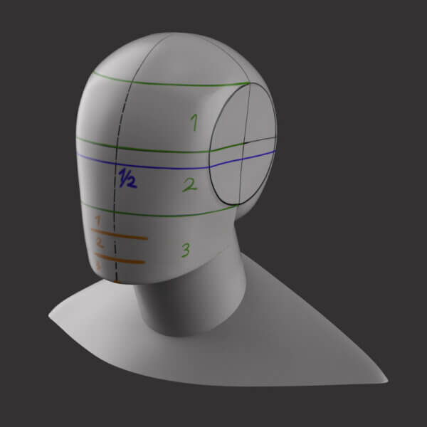 Forming the Head: Simple to Complex | Anatomy For Sculptors