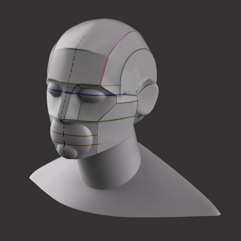 Forming the Head: Simple to Complex | Anatomy For Sculptors