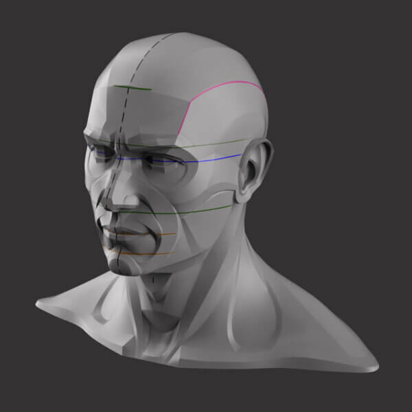 Forming the Head: Simple to Complex | Anatomy For Sculptors