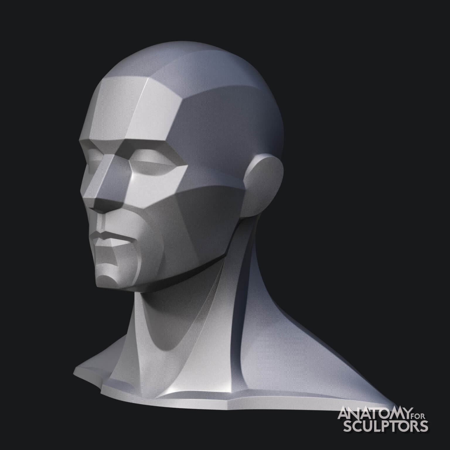 Forming the Head: Simple to Complex | Anatomy For Sculptors