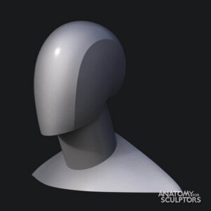 Forming the Head: Simple to Complex | Anatomy For Sculptors