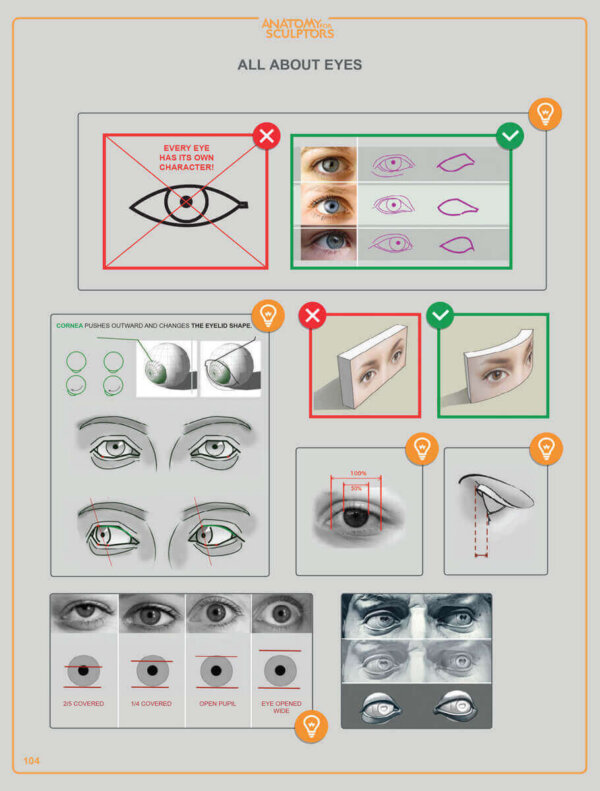 Understanding the Human Figure | by Anatomy For Sculptors